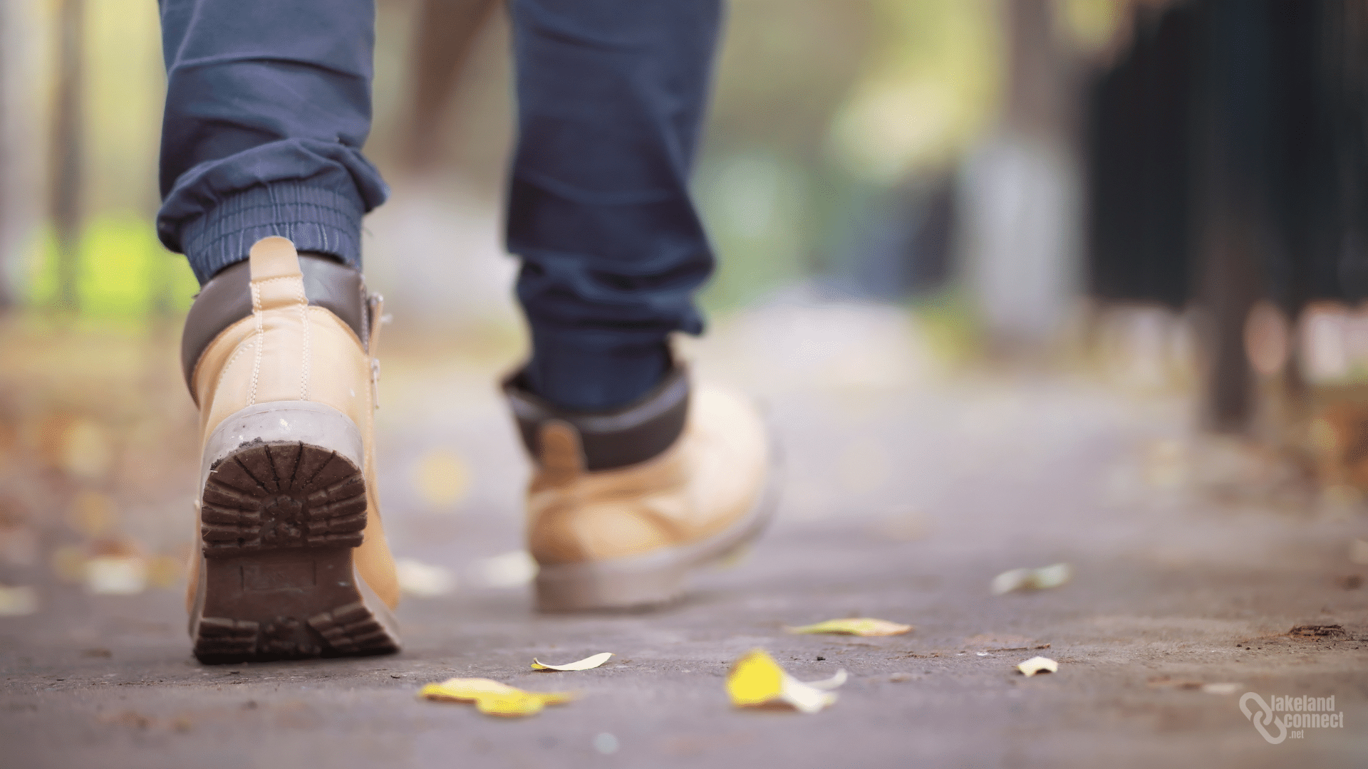 Stay Seen, Stay Safe: RCMP Remind Drivers and Pedestrians to Use ...
