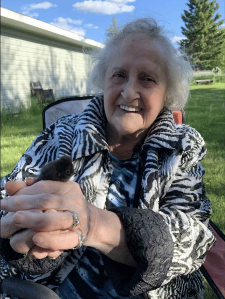 In Loving Memory: Shirley Barnes - Memento Funeral Chapel - Lakeland ...