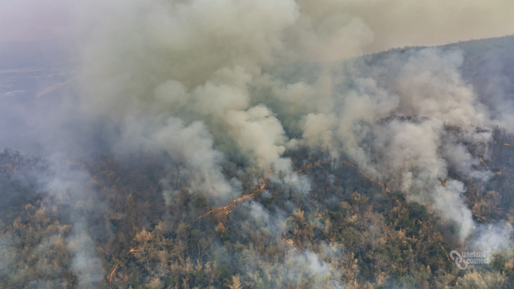 Two New Wildfires Detected in Lac La Biche Forest Area - Lakeland Connect